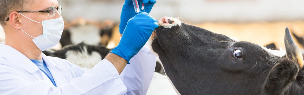 Vesicular Stomatitis Virus (VSV) Alert Notification | Utah Department ...