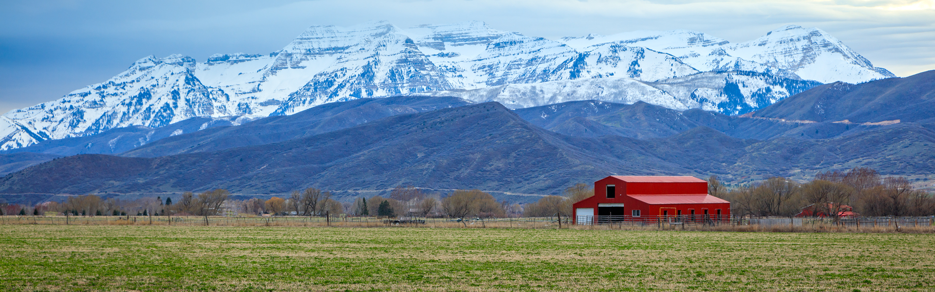 Utah Department of Agriculture and Food