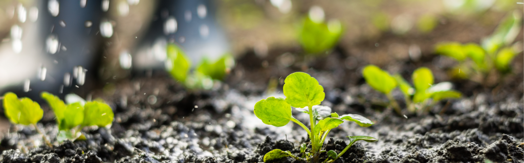 Agricultural Voluntary Incentive Program | Utah Department of ...