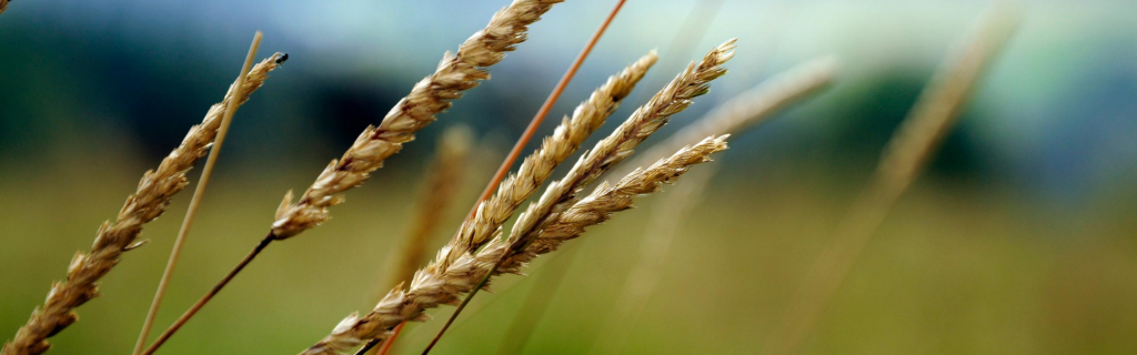 UDAF Launching New Licensing System | Utah Department of Agriculture ...