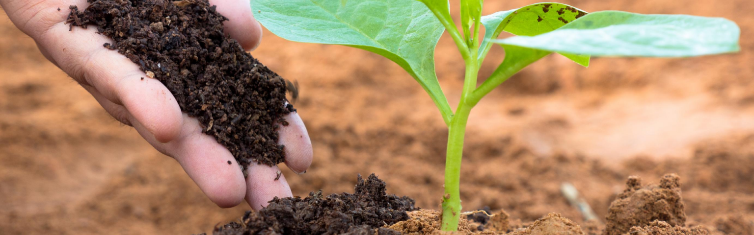 Animal Import Requirements | Utah Department of Agriculture and Food