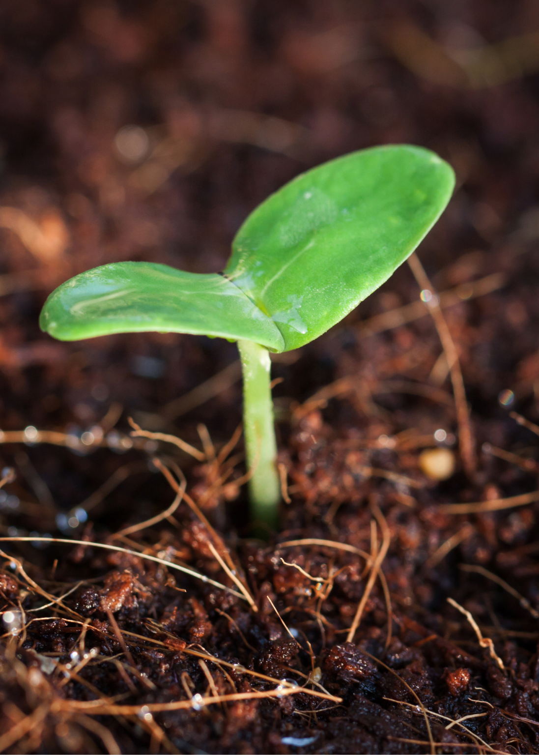 Utah Department of Agriculture and Food