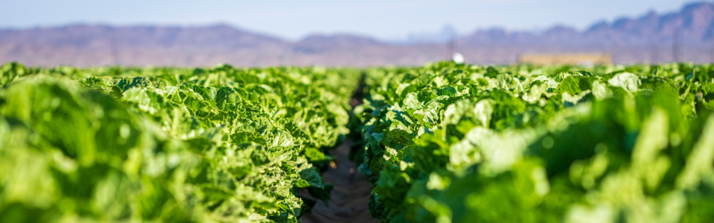 UDAF Launching New Licensing System | Utah Department of Agriculture ...