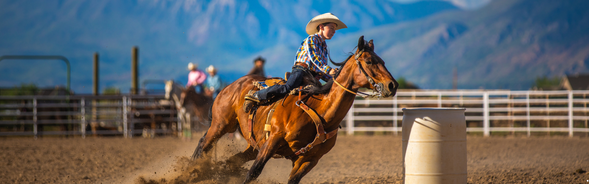 State Vet Issues EHV-1 Guidance | Utah Department of Agriculture and Food